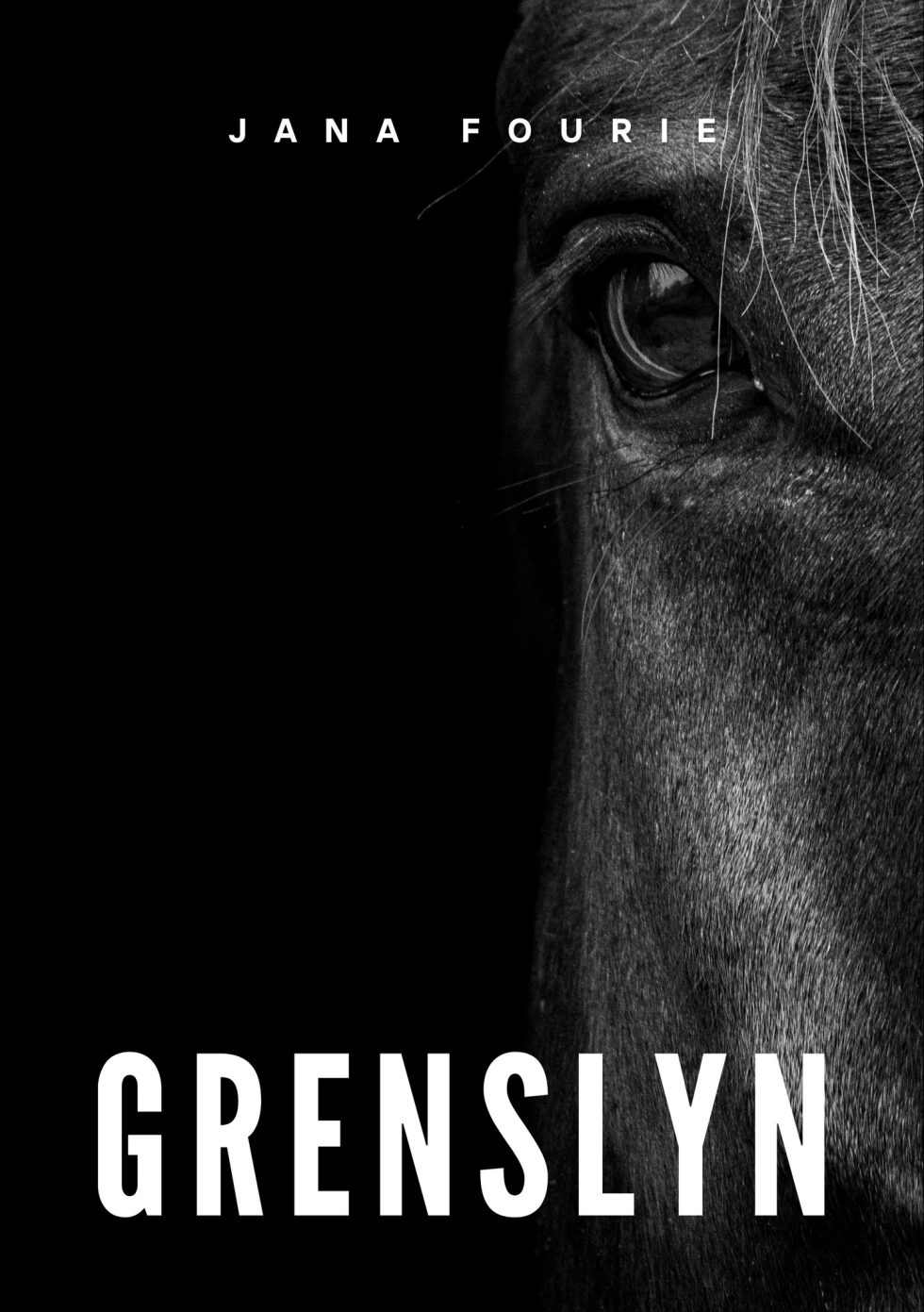 Grenslyn | Turksvy Publikasies