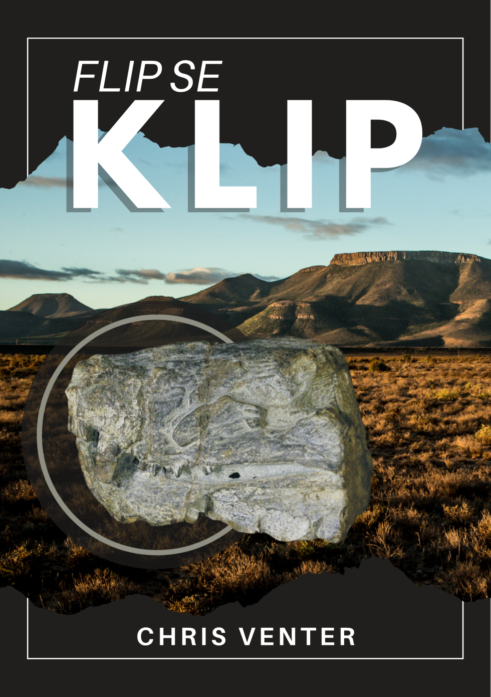 Flip se klip | Turksvy Publikasies